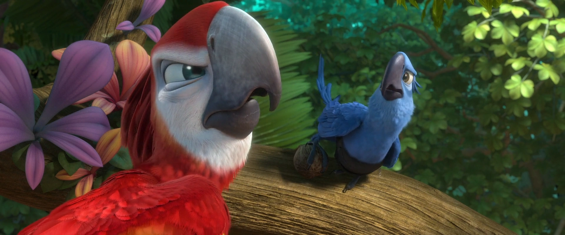 Image - LFBlu43.PNG | Rio Wiki | Fandom powered by Wikia