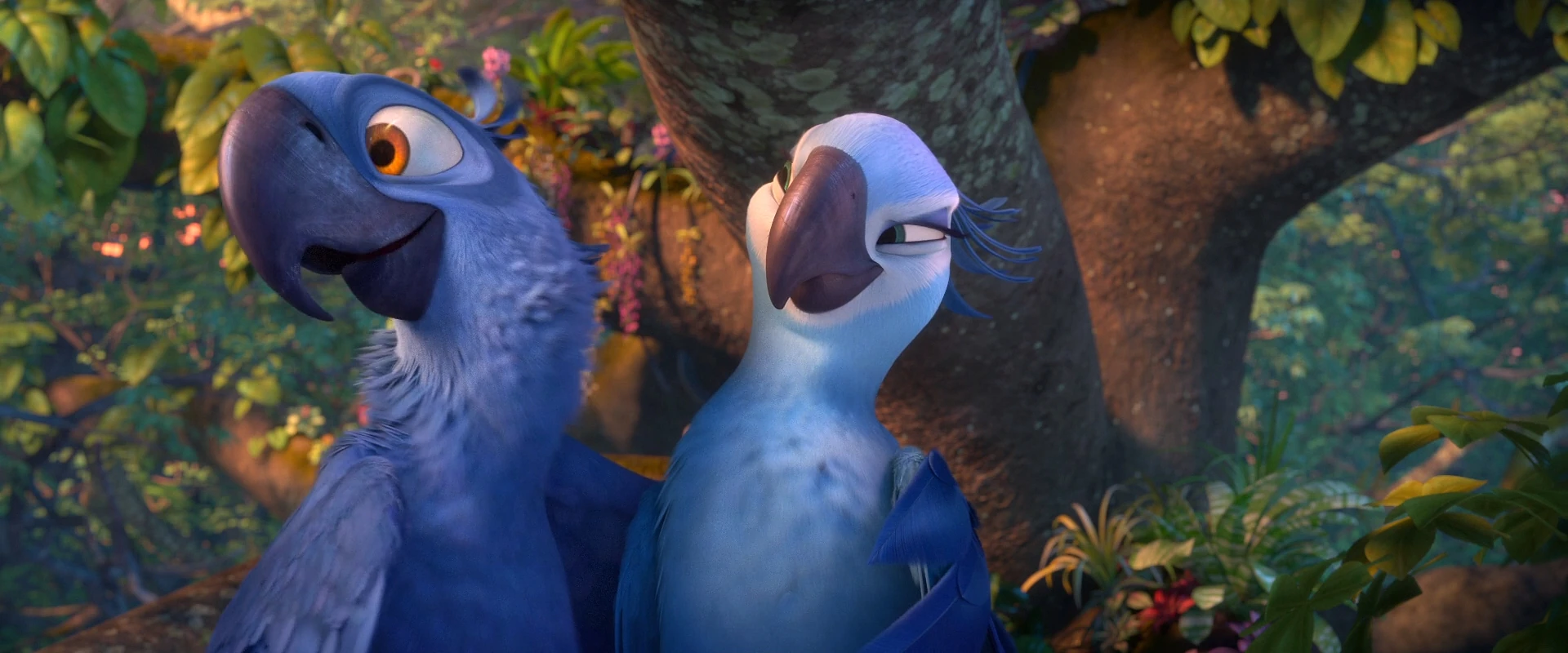 Image - Blu 100-Jewel 100 189.jpg | Rio Wiki | Fandom powered by Wikia