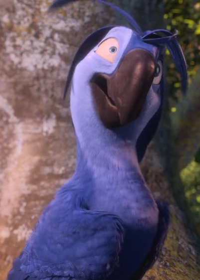 Image - Roberto half paranoid.png | Rio Wiki | FANDOM powered by Wikia