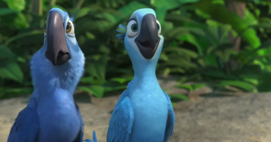 Image - Blu and jewel something something something.png | Rio Wiki ...