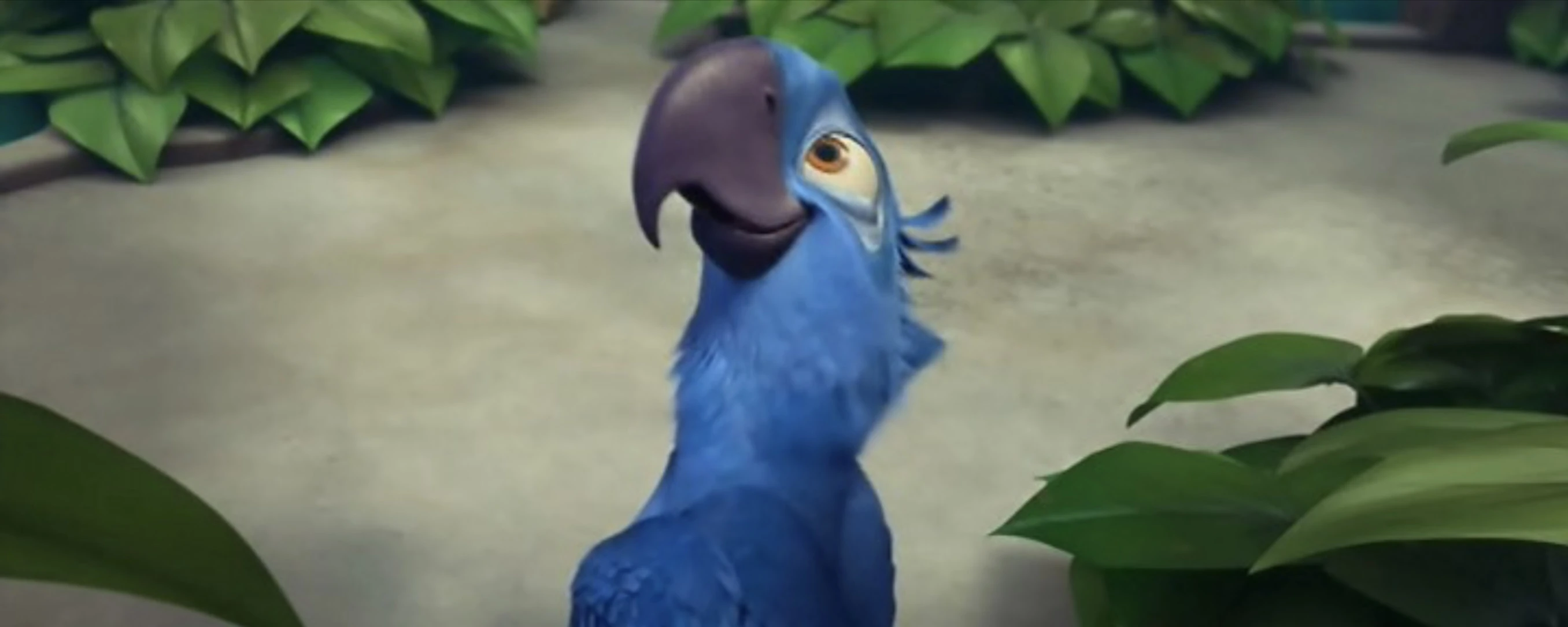 Image - Rio5(Blu).jpg | Rio Wiki | Fandom powered by Wikia