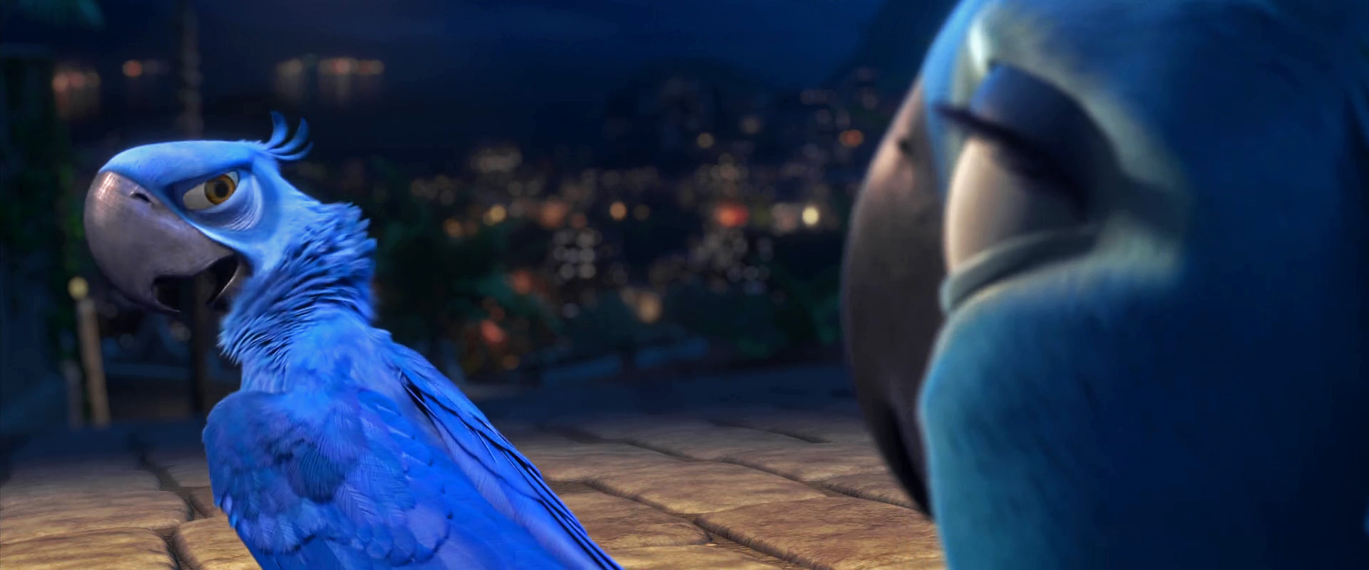 Image - Blu+ Jewel.jpg | Rio Wiki | Fandom powered by Wikia