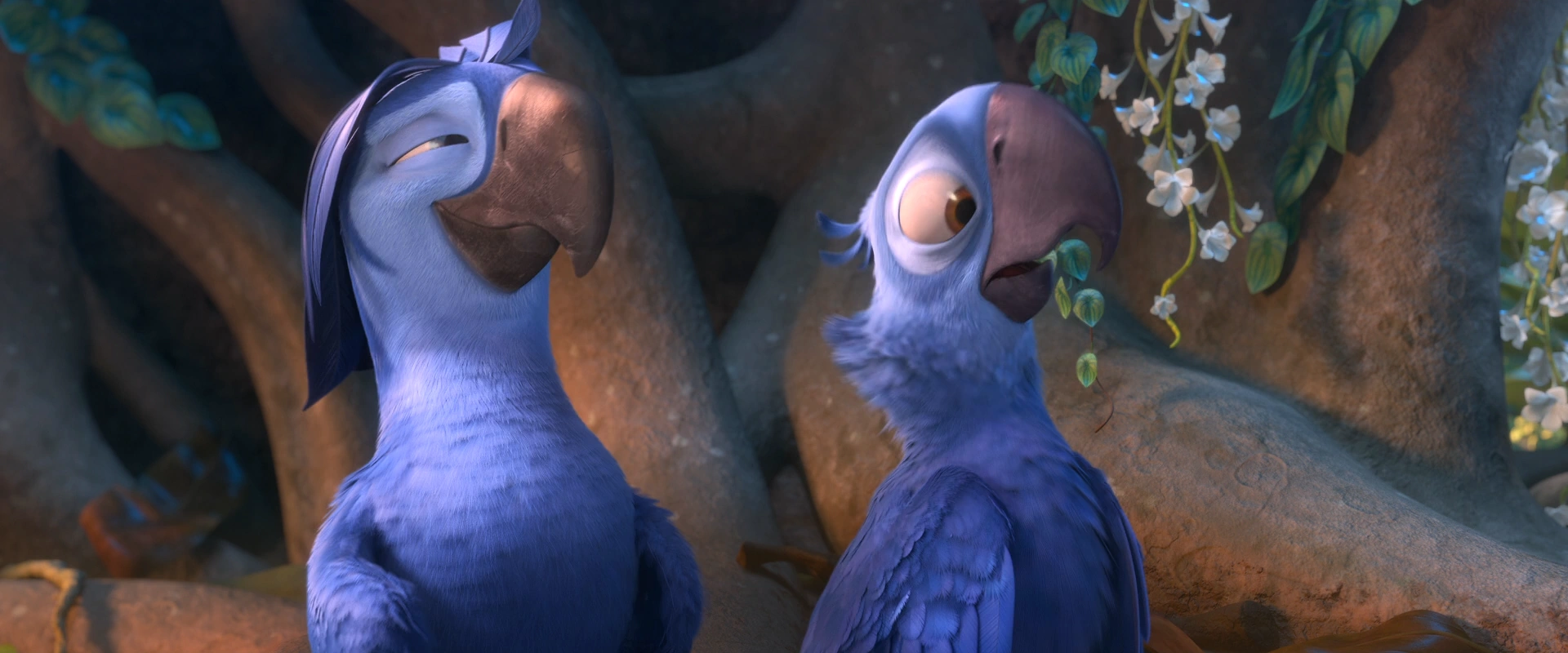 Image - Roberto and Blu.png | Rio Wiki | Fandom powered by Wikia