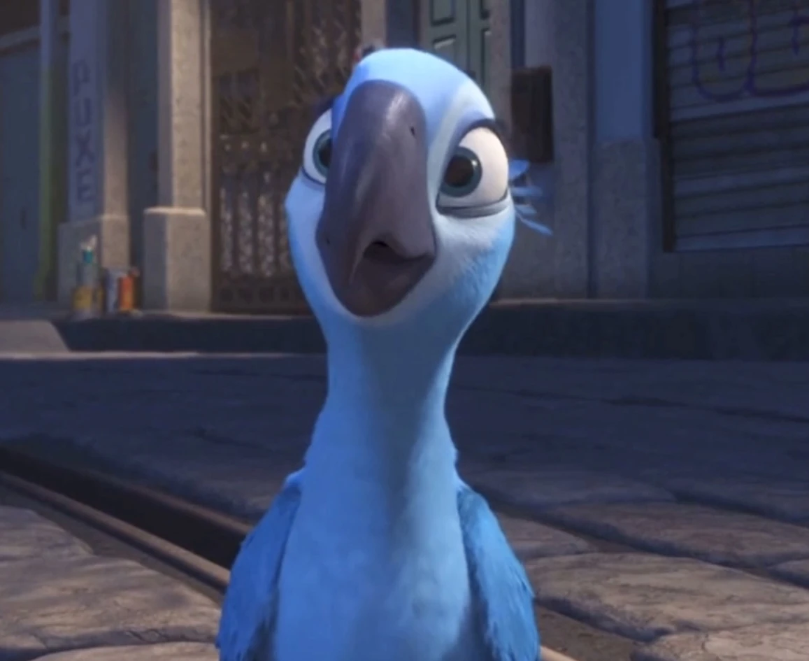 Image - Jewel-Rio-rio-34890837-500-417.jpg | Rio Wiki | FANDOM powered ...