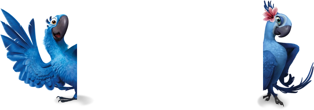 Image - Background-birds.png | Rio Wiki | Fandom powered by Wikia