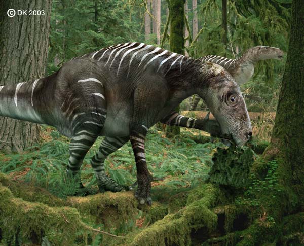 Iguanodon Sauropedia Wiki Fandom Powered By Wikia