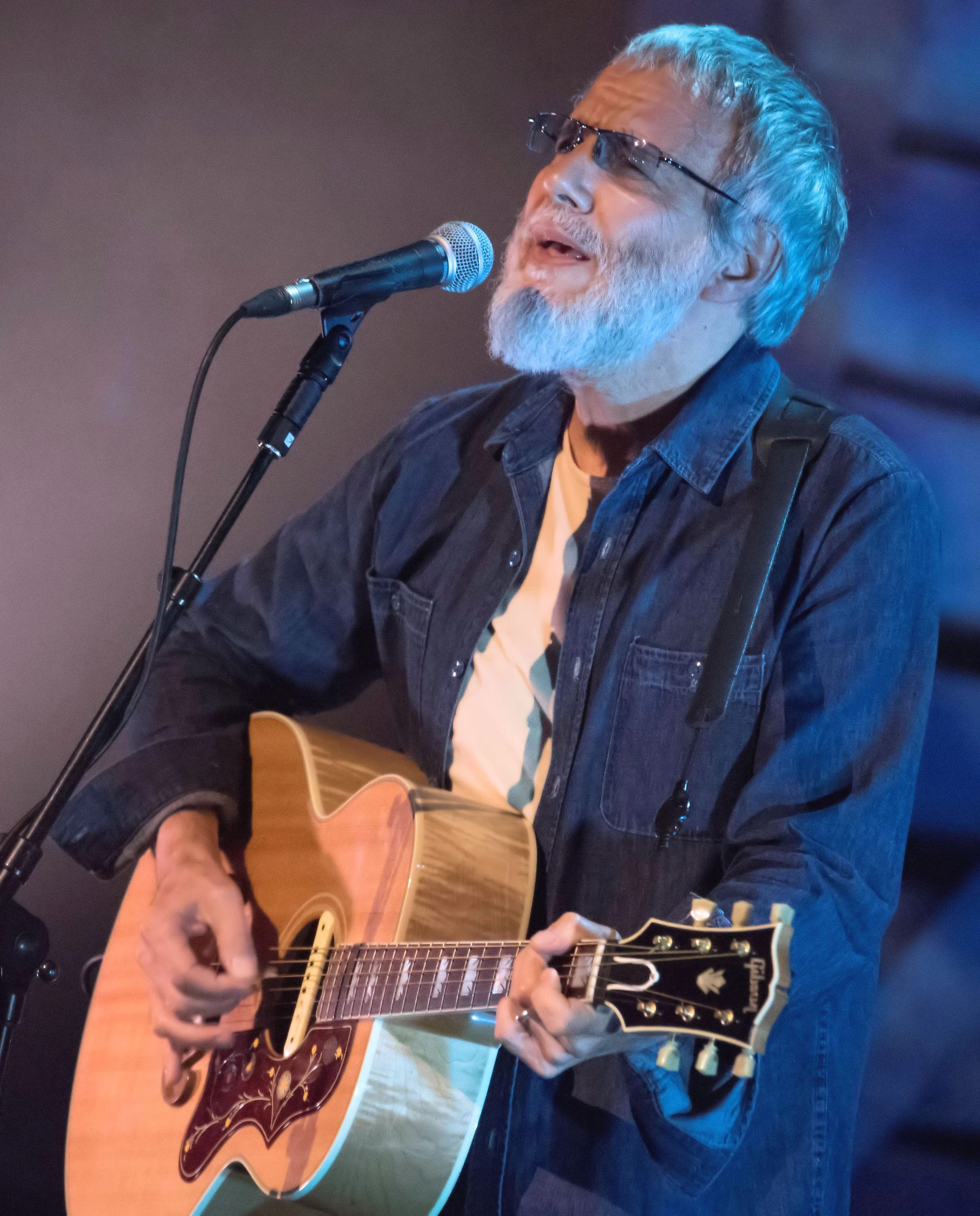 Cat Stevens | Sing Wiki | FANDOM powered by Wikia