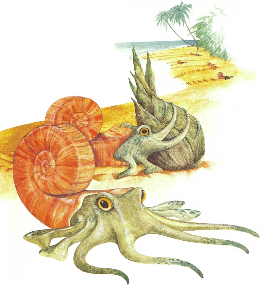 Coconut Grab | Speculative Evolution Wiki | FANDOM powered by Wikia