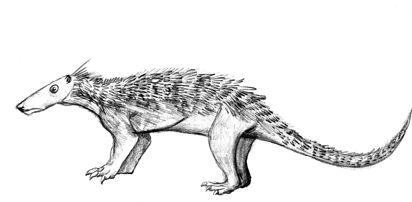 Xenarthra Taxonomy Life Wikia Fandom Powered By Wikia Archosaur | Paleontology Wiki | Fandom ...