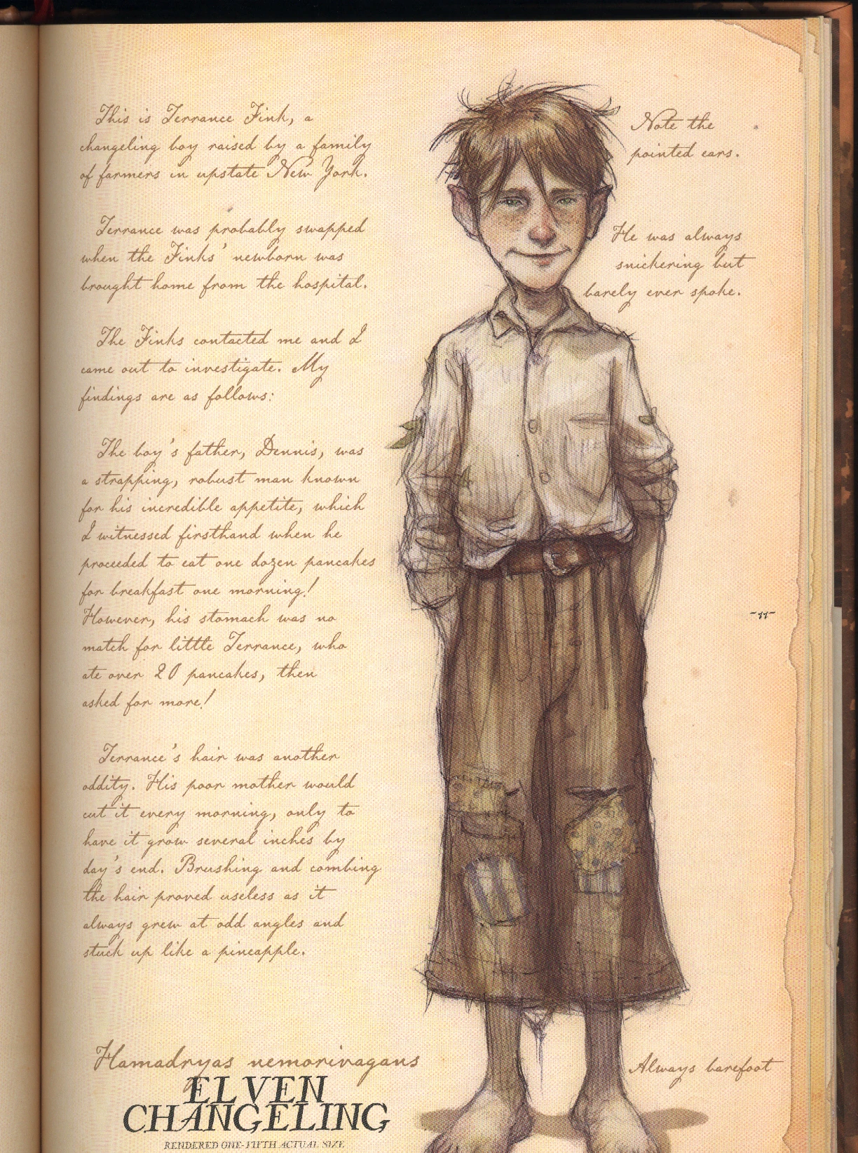 Category:Elves | Spiderwick Chronicles Wiki | Fandom powered by Wikia