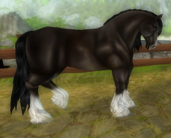 Image - Shire 2.png | Star Stable Wiki | FANDOM powered by Wikia