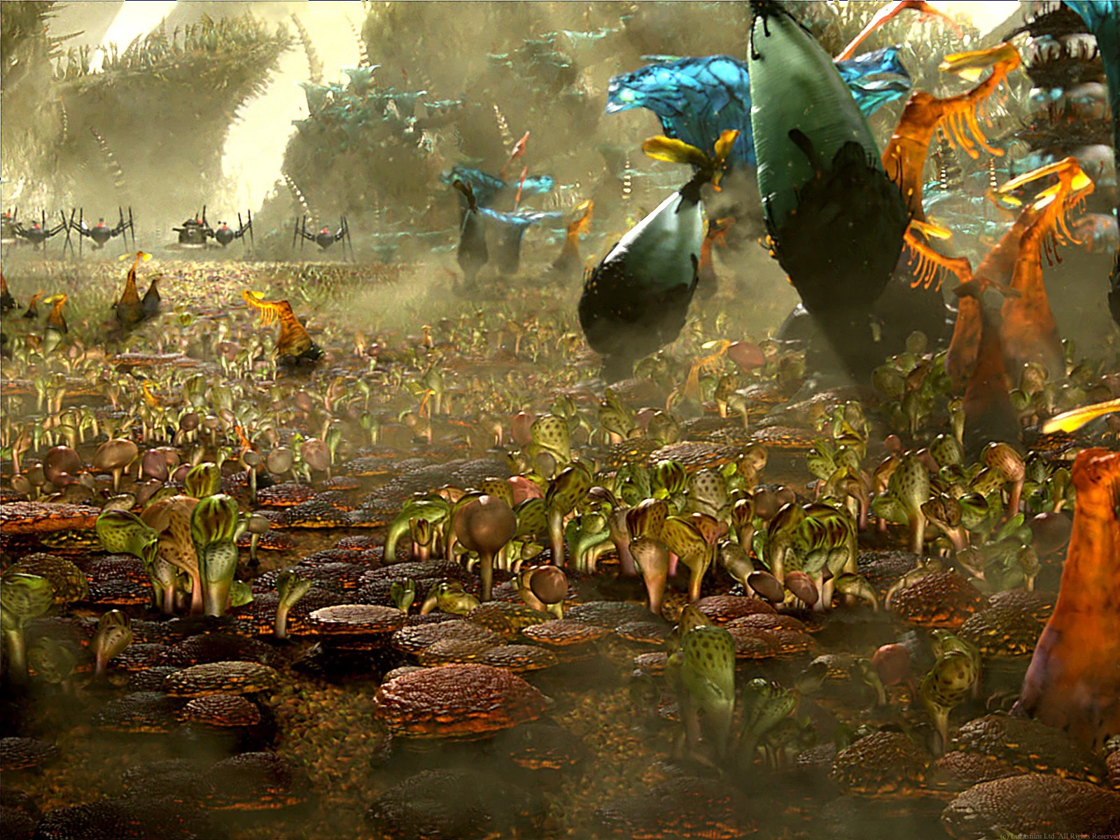 Battle of Felucia (Outer Rim Sieges) | Wookieepedia | FANDOM powered by ...