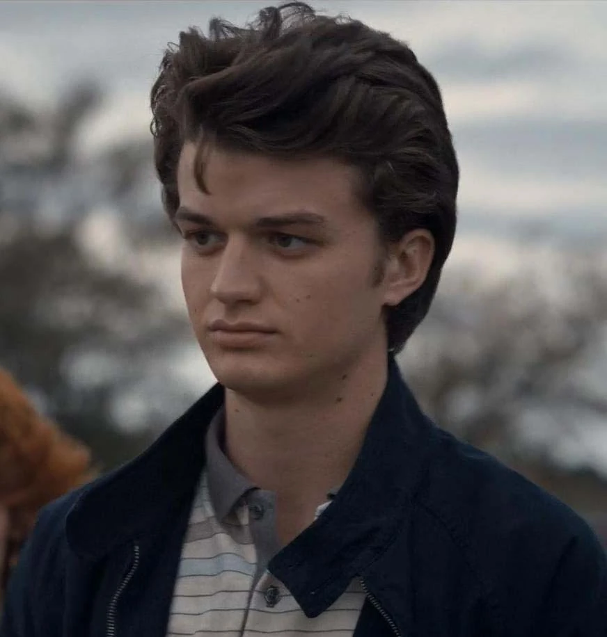 Steve Harrington | Wikia Stranger Things | FANDOM powered by Wikia