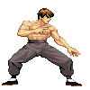 Fei Long | Street Fighter Wiki | FANDOM powered by Wikia