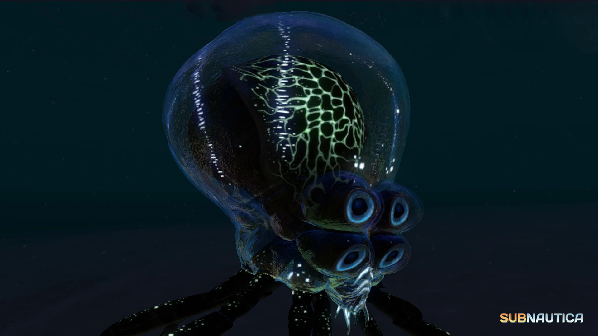 Image - Crabsquid (3).jpg | Subnautica Wiki | Fandom powered by Wikia