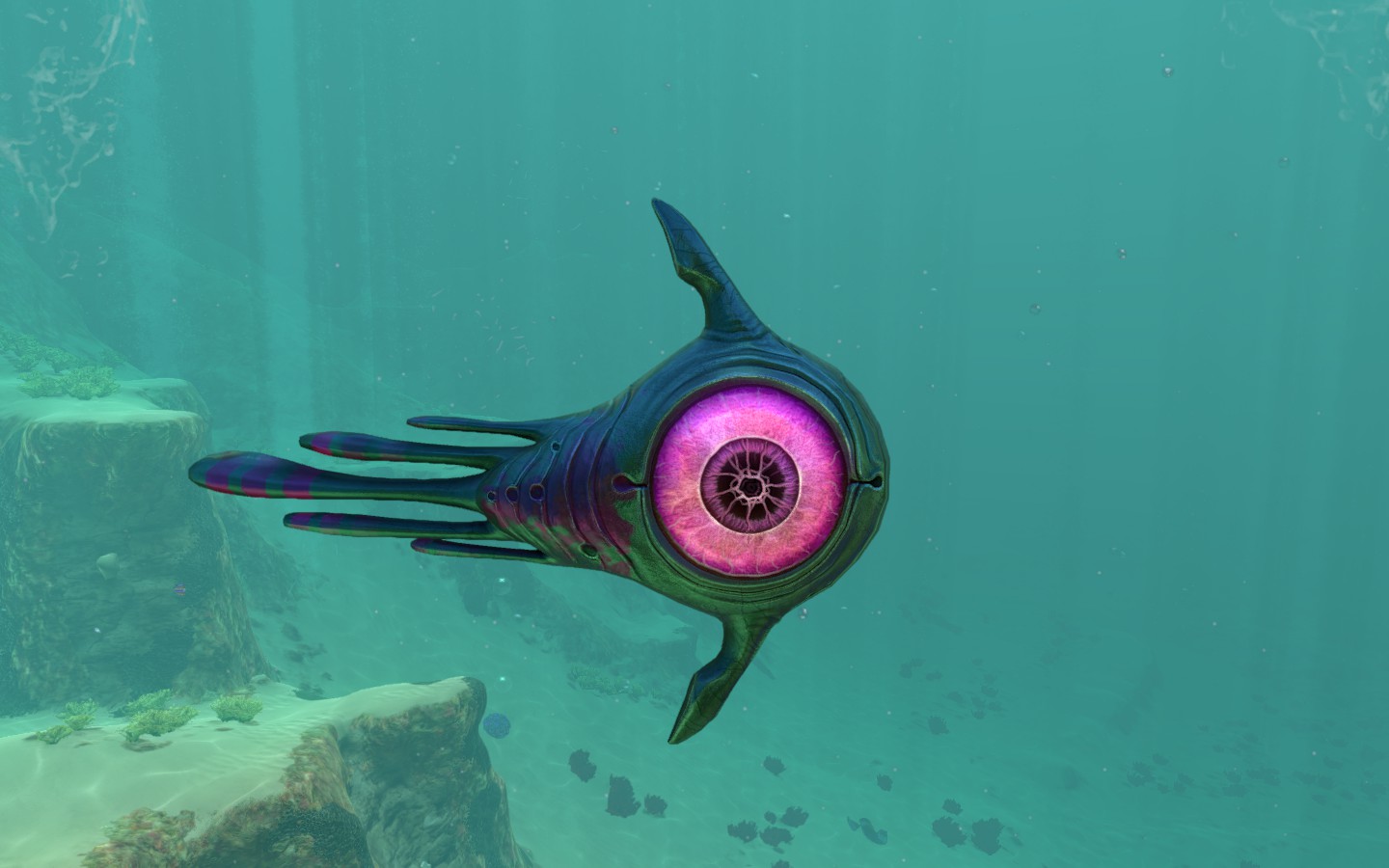 Image Life Form Oculus Subnautica Wiki Fandom Powered By Wikia