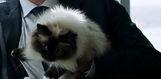 Suits Louis Cat | Paul Smith