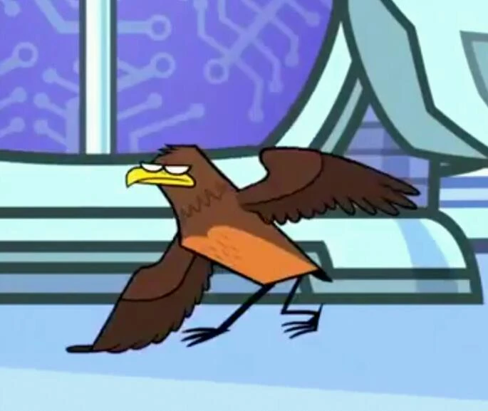 Super Robin (Bird) | Teen Titans Go! Wiki | FANDOM powered by Wikia