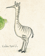 Zebra Ostrich | The Croods Wiki | Fandom powered by Wikia
