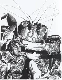 Crab monsters | The Time Machine Wiki | Fandom powered by Wikia