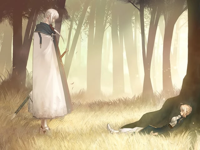 If there was Saberface male servant, who could it be? : r/grandorder