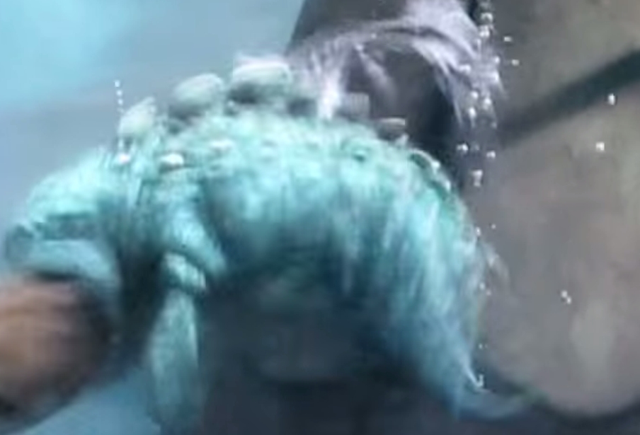 Image Maelstrom And Cretaceous Villains Wiki Fandom Powered
