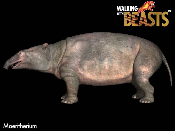 Image - Moeritheriumprofile.jpg | Walking With Wikis | Fandom powered ...