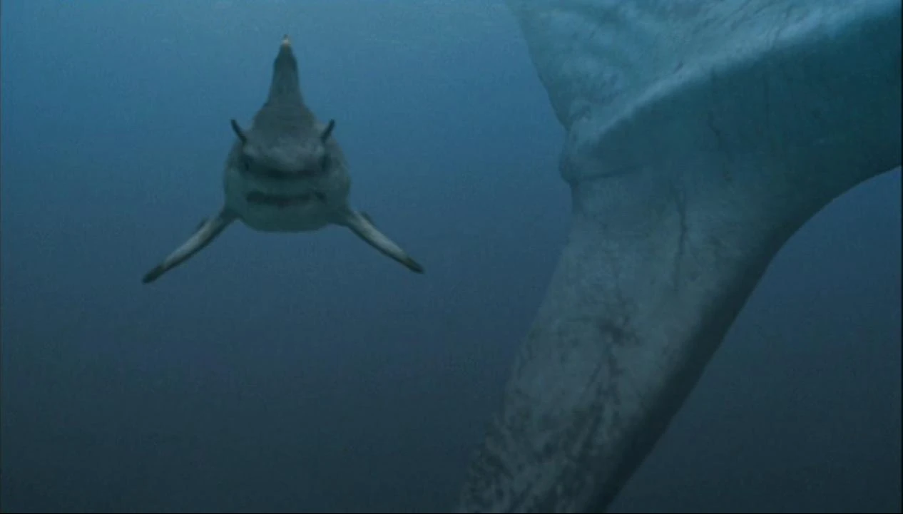 Image - Hybodus shark.jpg | Walking With Wikis | FANDOM powered by Wikia