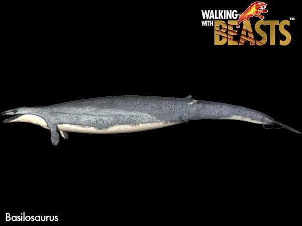 Image - Basilosaurus large.jpg | Walking With Wikis | Fandom powered by ...