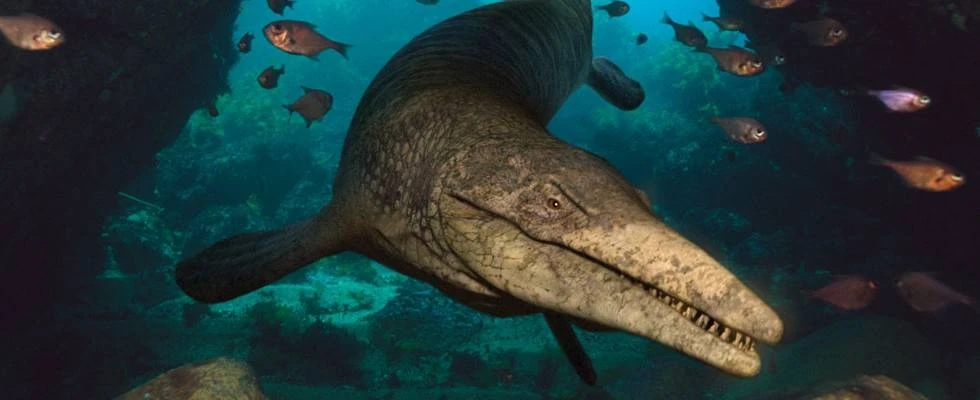 Image - Little mosasaur.jpg | Walking with Dinosaurs Wiki | FANDOM ...