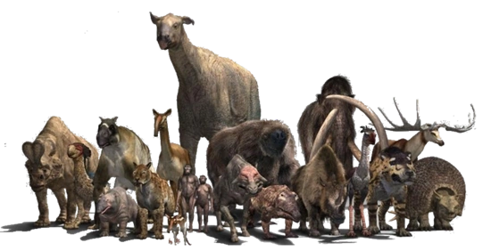 Walking with... Wiki | Fandom powered by Wikia