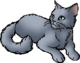 Bluestar | Warriors Wiki | Fandom powered by Wikia