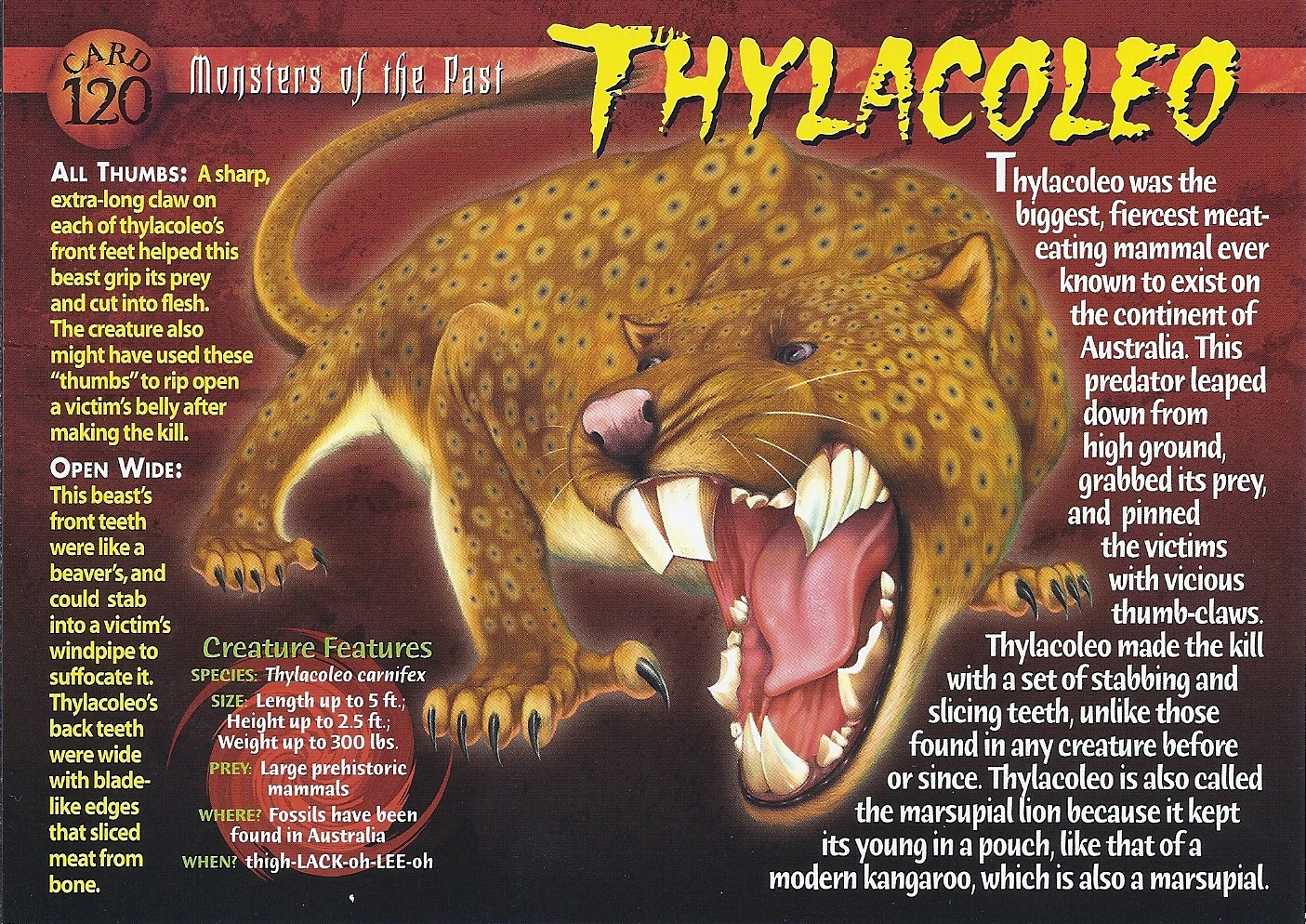 Thylacoleo | Wierd N'wild Creatures Wiki | FANDOM powered by Wikia