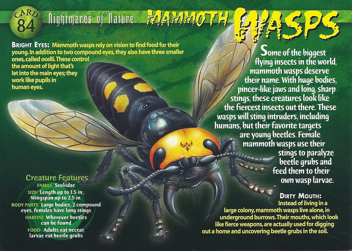 Mammoth Wasp | Wierd N'wild Creatures Wiki | FANDOM powered by Wikia