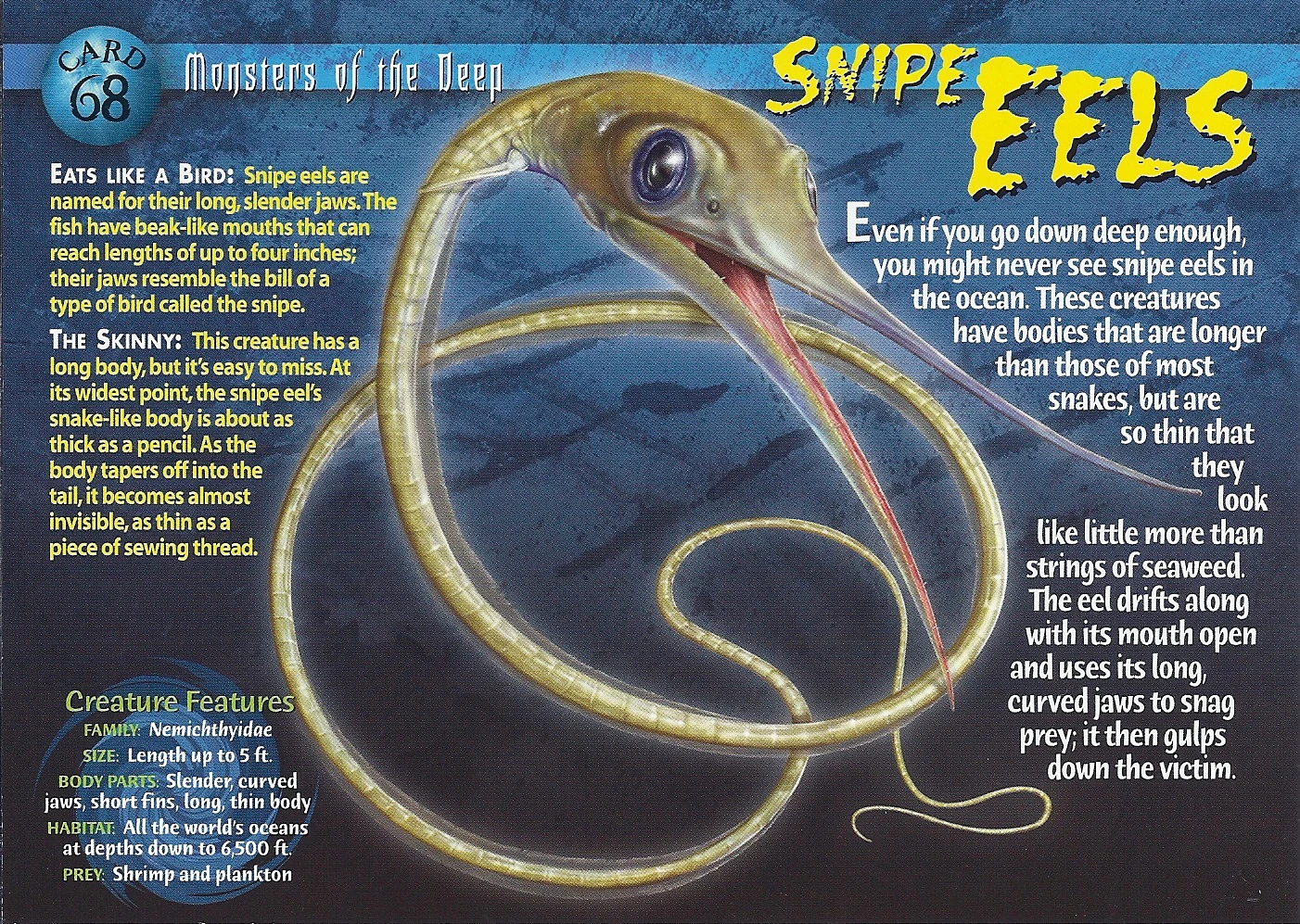 Snipe Eel | Wierd N'wild Creatures Wiki | FANDOM powered by Wikia