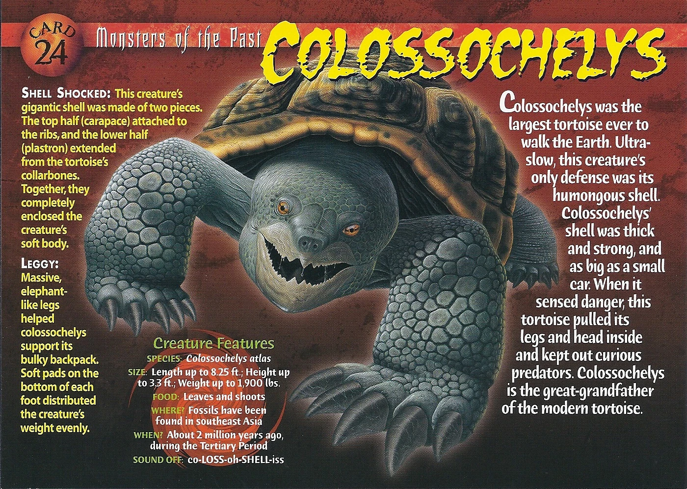 Colossochelys | Wierd N'wild Creatures Wiki | FANDOM powered by Wikia