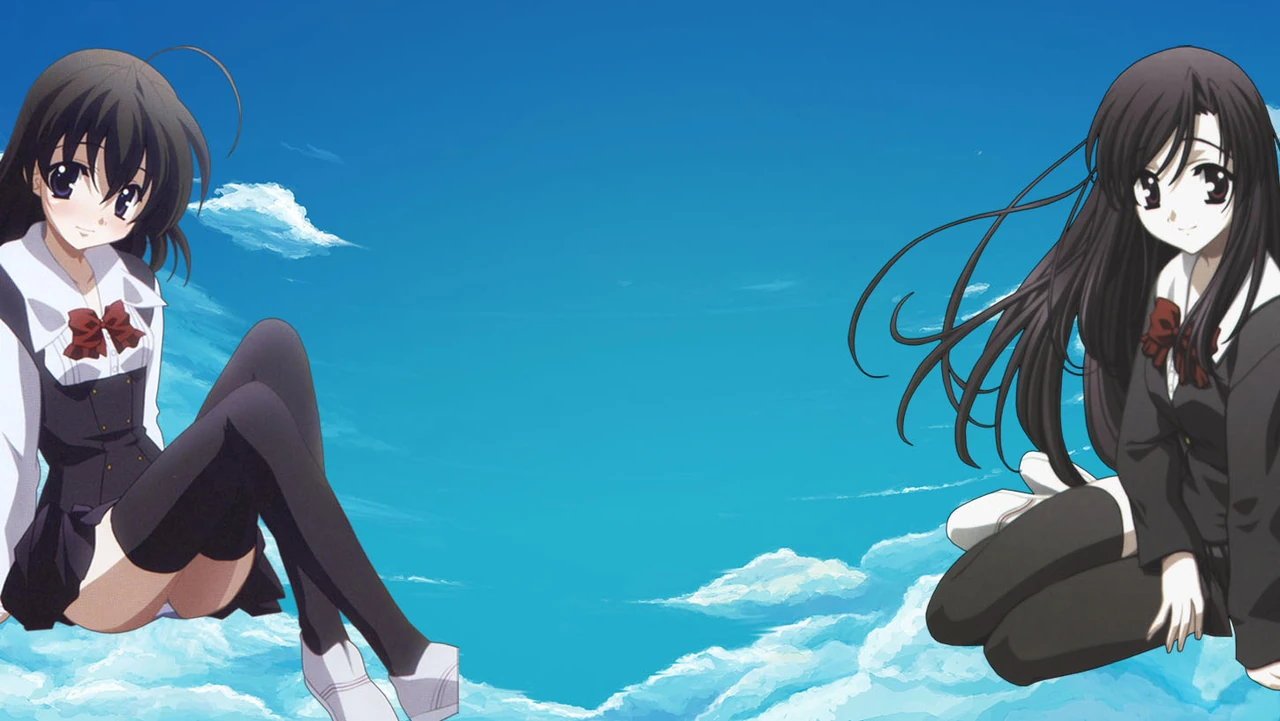 Shiny days | Fandom
