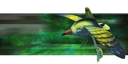 Forest Flish | Wild Future Wiki | FANDOM powered by Wikia