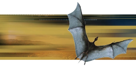 Deathgleaner | Wild Future Wiki | Fandom powered by Wikia