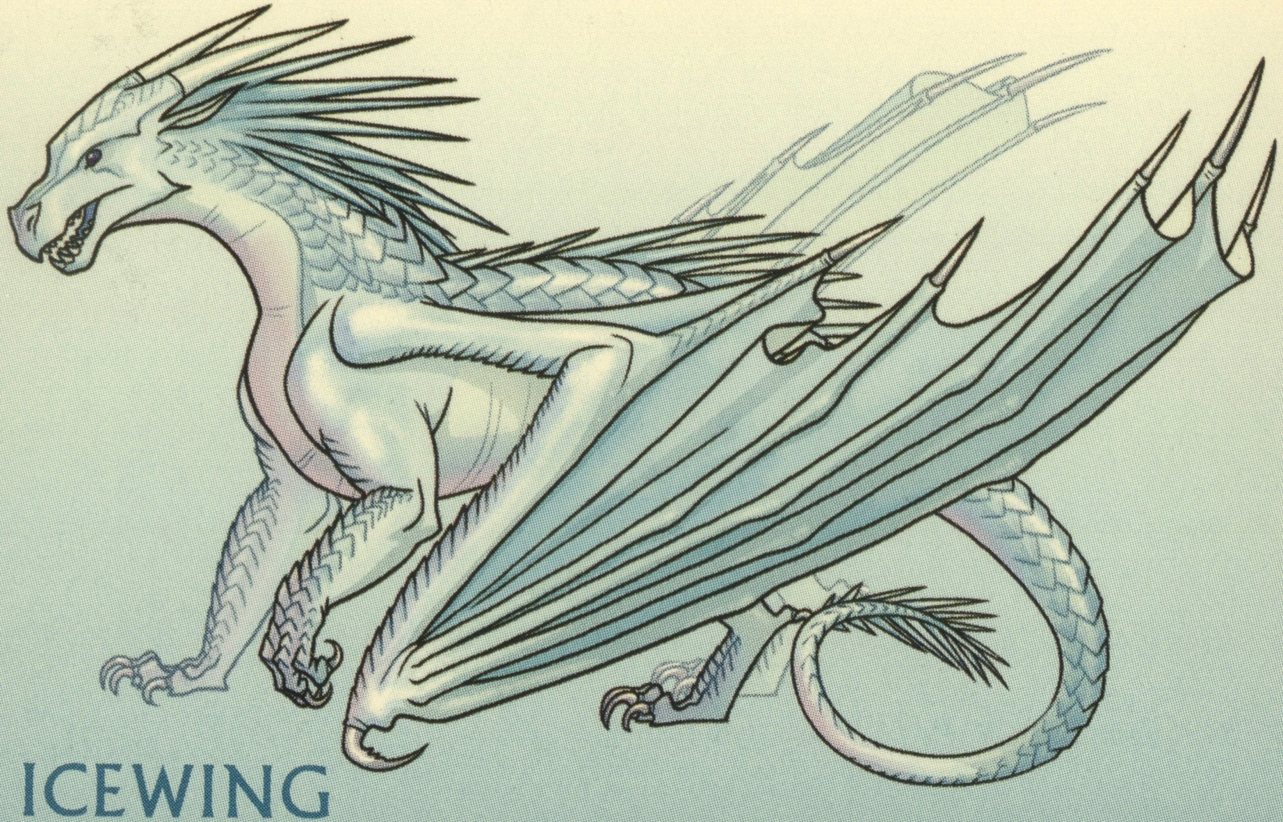 Image - Typical IceWing by Sassy the Beagle.jpg | Wings of Fire Wiki ...