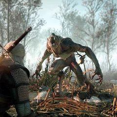 Werewolf | Witcher Wiki | Fandom powered by Wikia