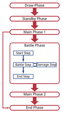 Les Phases et les Steps - YgoPro FR
