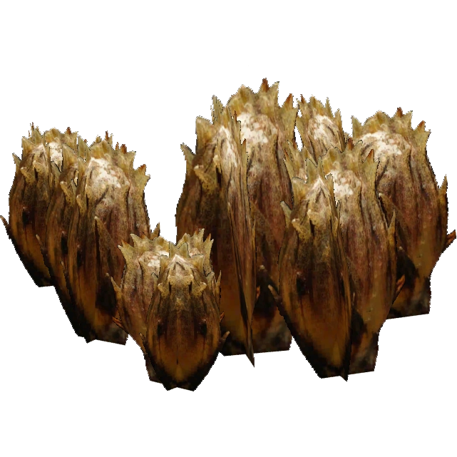 New Zealand Wood Rose - The ZT2 Round Table